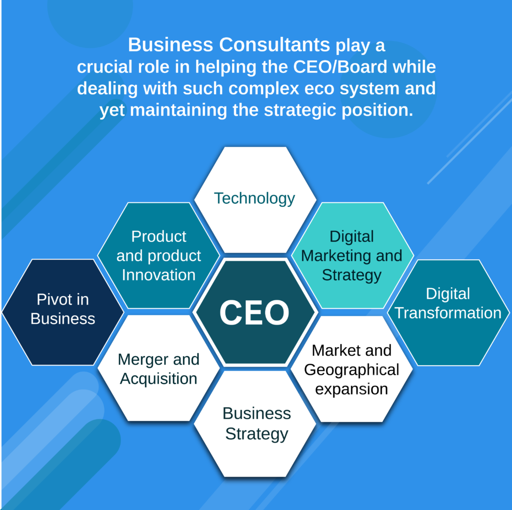 Business Consultancy Services